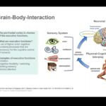 The Effects of Interactive Cognitive-Motor Training | THERA-Trainer